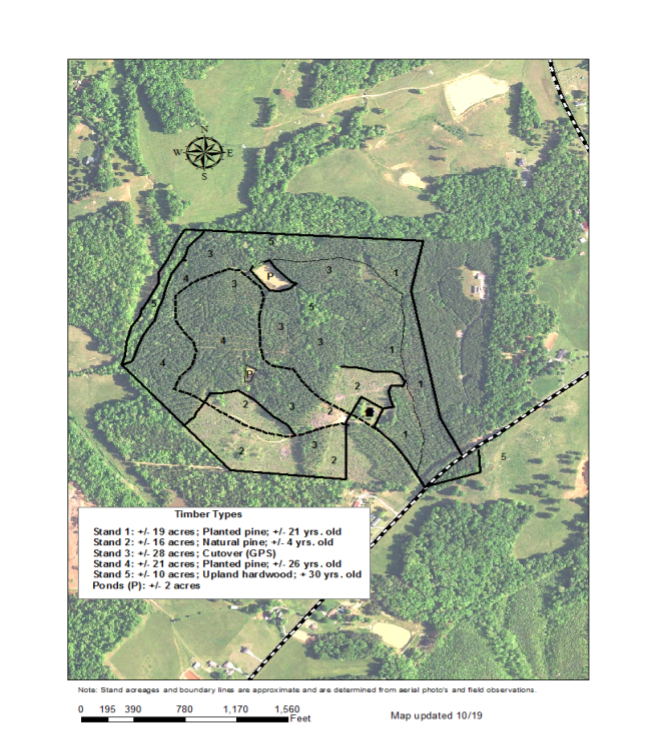 Forestry – Associated Hardwoods, Inc.