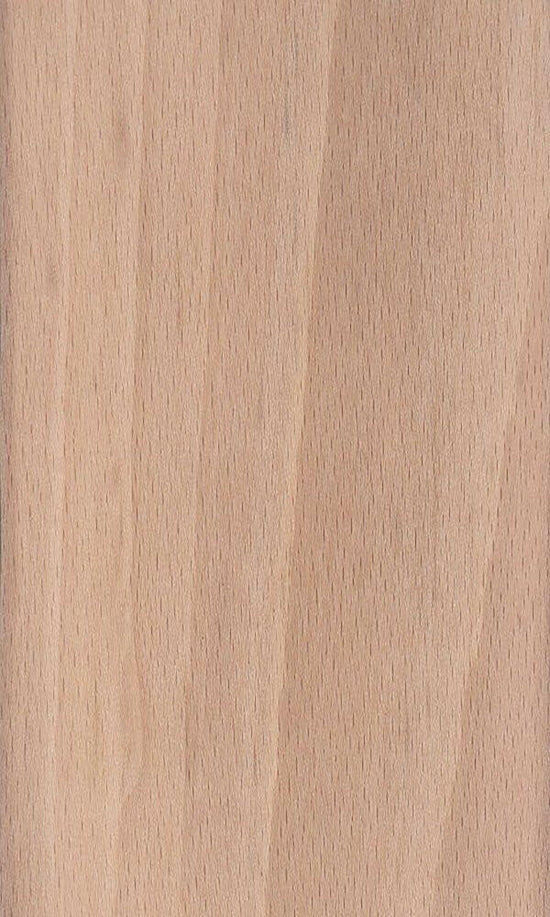 European Beech – Associated Hardwoods, Inc.